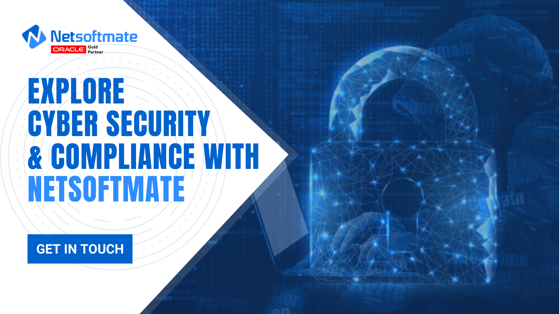 Cyber Security Consulting and Assessment | Netsoftmate